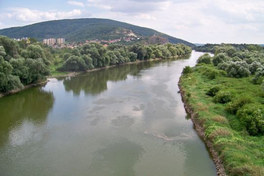 Okolie rieky Morava čaká v sobotu veľké čistenie | Život v meste ...