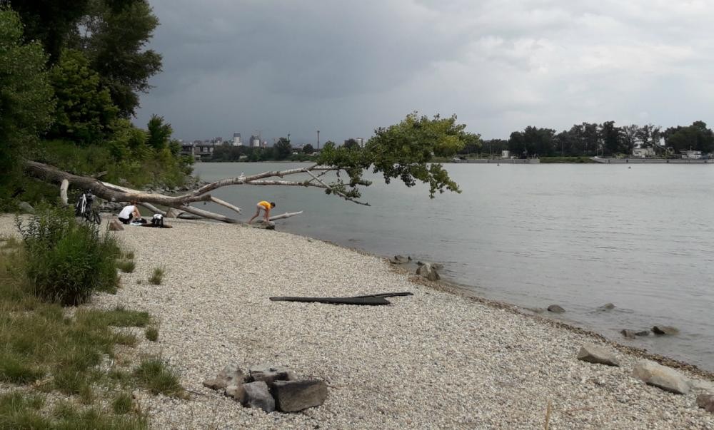 Dunajský park bude mať 20 kilometrov. Stane sa vízia realitou ...