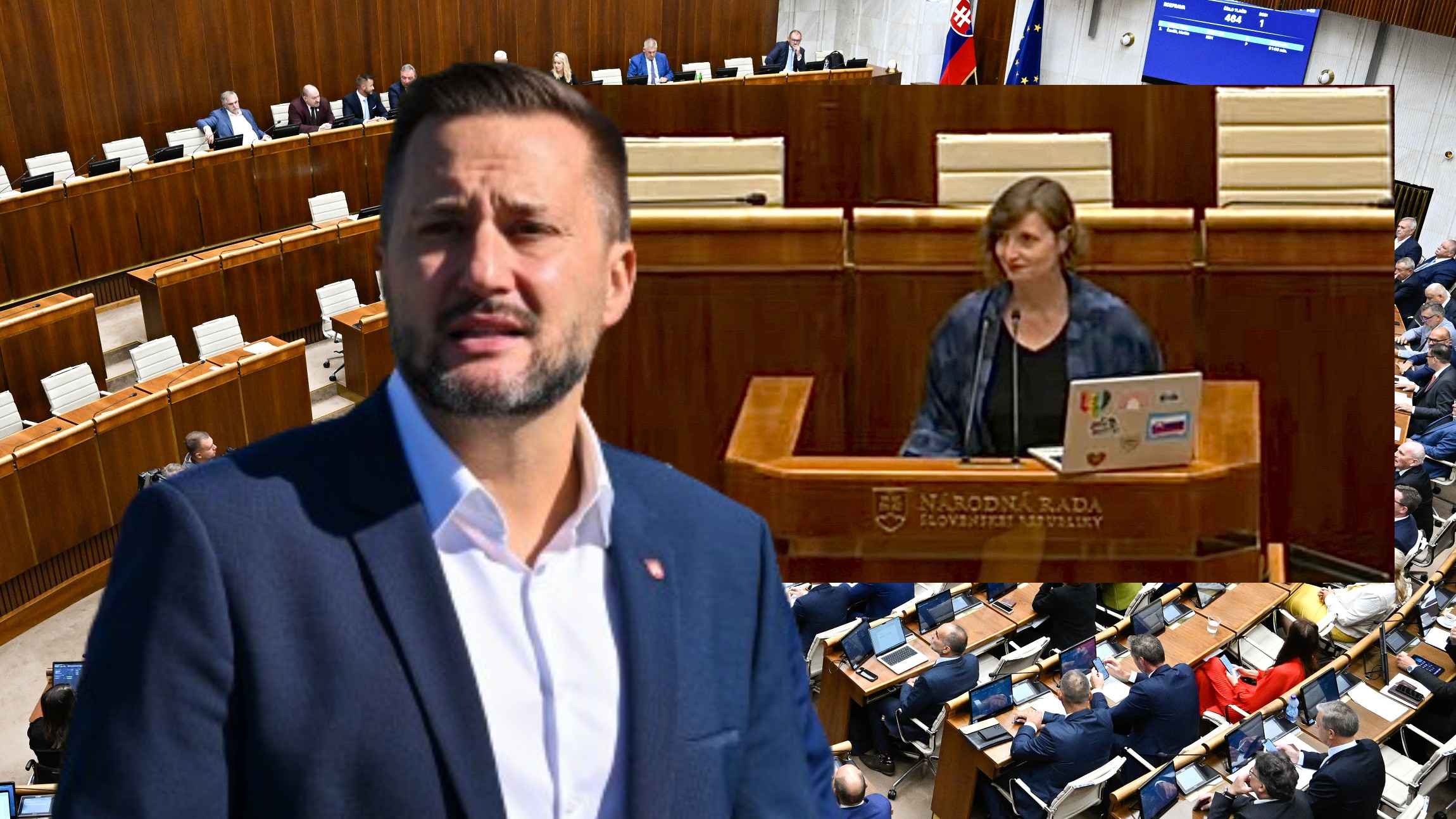 Vallo sa zastal poslankyne Plavákovej, ktorú vykázali z pléna Národnej ...