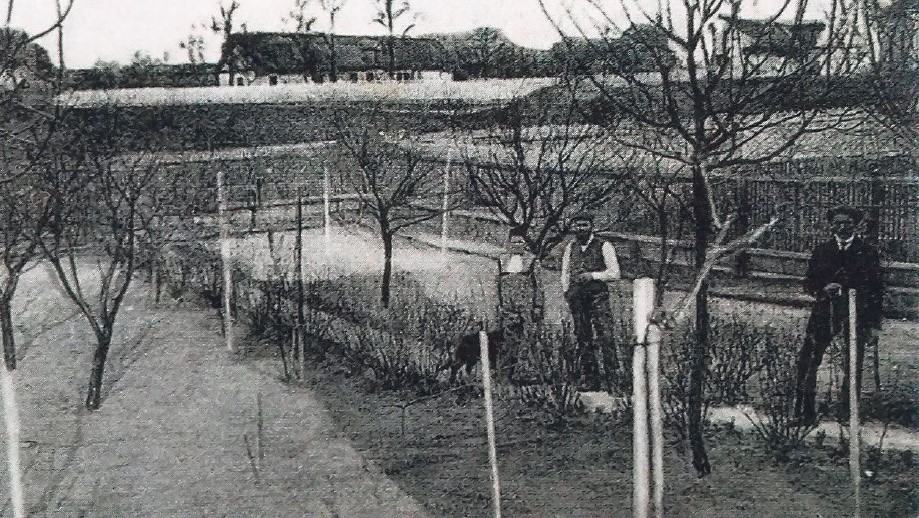 HISTÓRIA PETRŽALKY: Po požiari vládli v obci Engerau strach, zmätok a ...