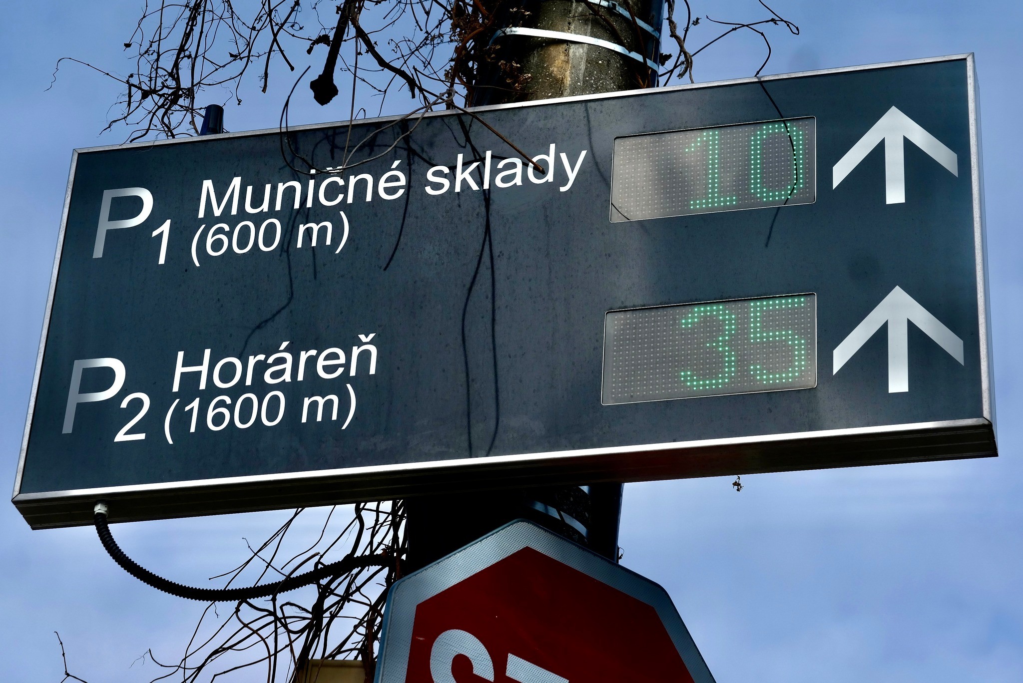 Vydajte sa na (skoro) jarnú prechádzku do mestských lesov nad Peknou ...