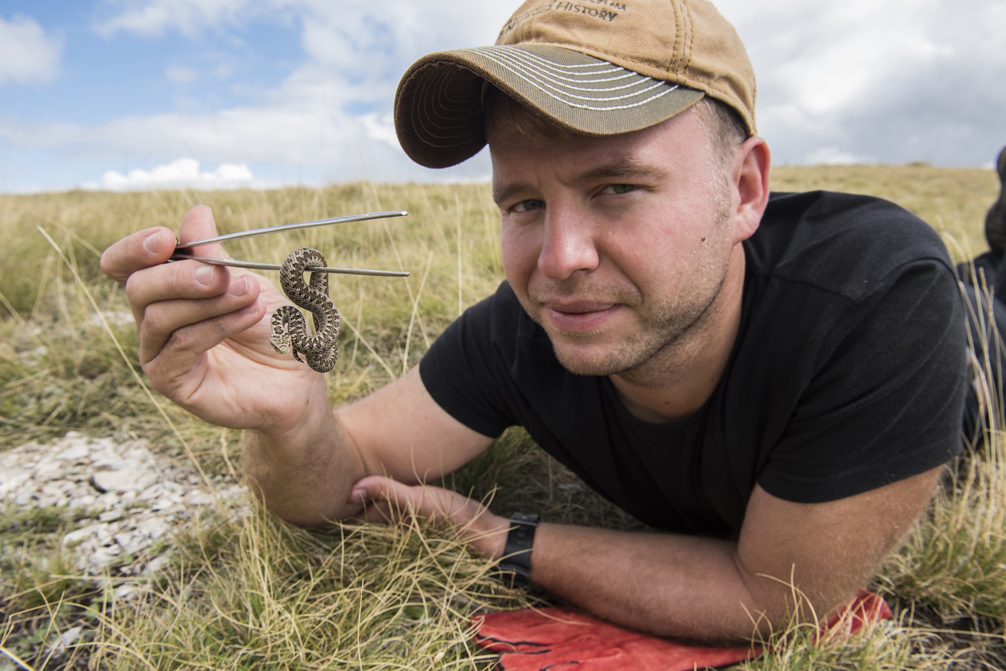 Viete, kedy vás zmija nepohryzie? Herpetológ Daniel Jablonski nám ...