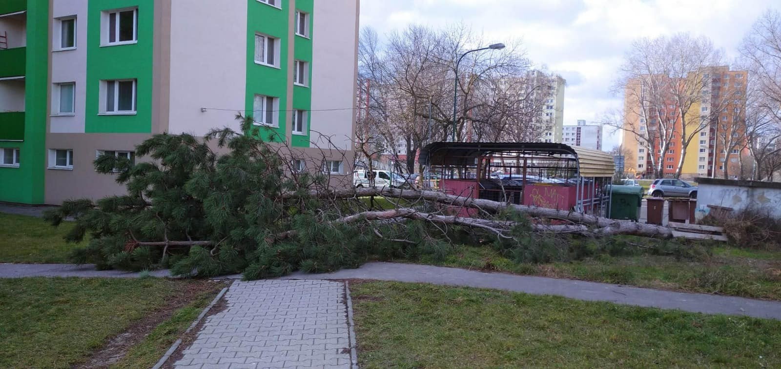 FOTO Zostaňte radšej doma: Silný vietor vyvracia stromy po celom meste | Vrakuňa | Mestské časti ...